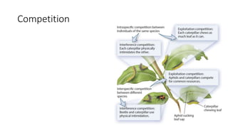 Species interactions | PPTX