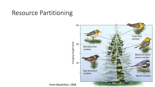 Species interactions | PPT