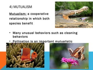 Species interactions comm ecology | PPT | Biological Sciences | Science