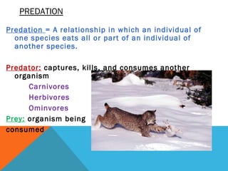 Species interactions comm ecology | PPT | Biological Sciences | Science