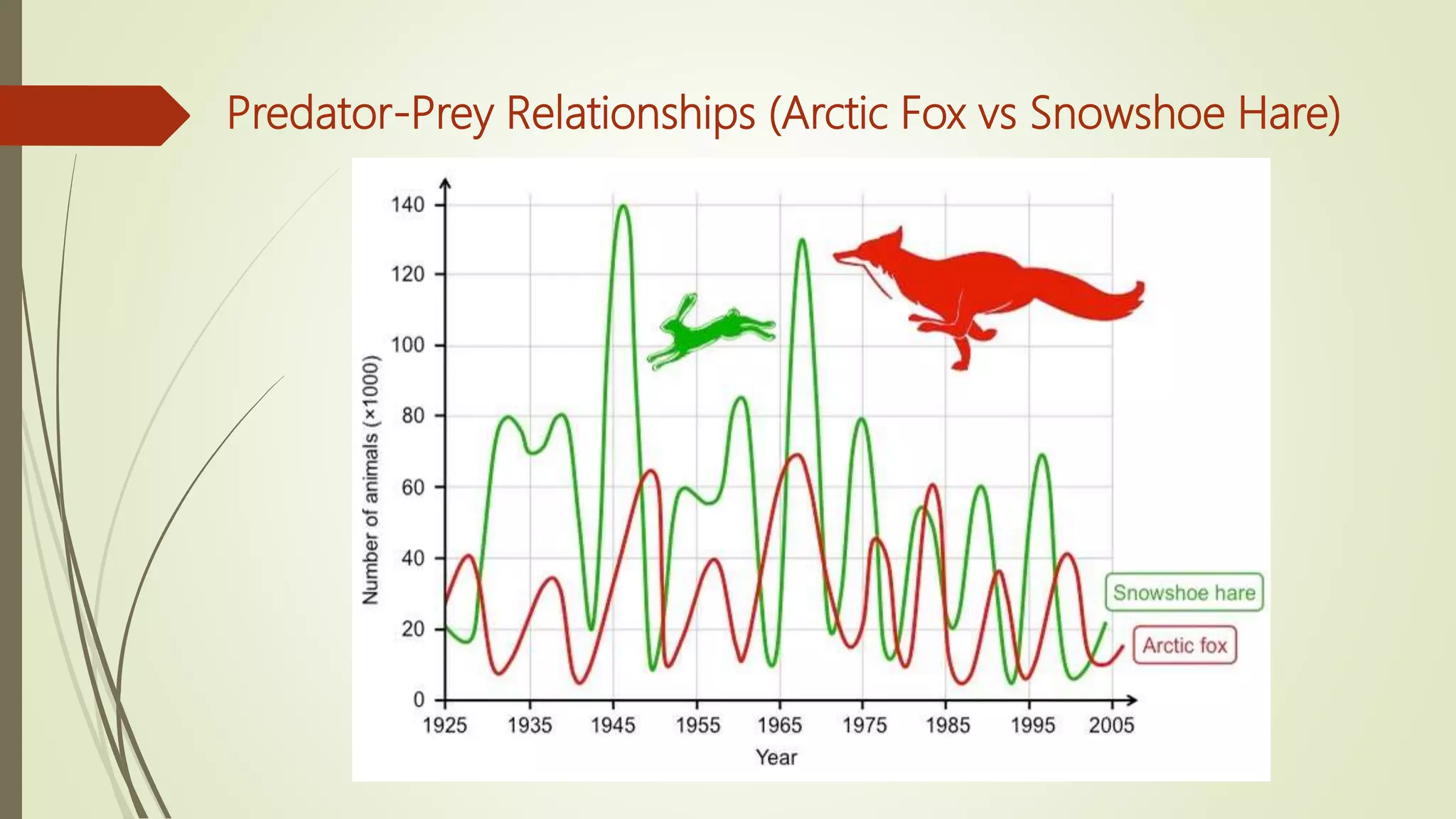 Species interactions | PPTX
