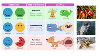 Species interactions | PPTX