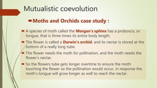 Species interactions | PPTX