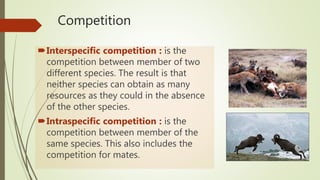 Species interactions | PPTX