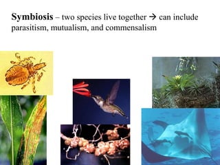 "Interactions of organisms in ecosystem" | PPT