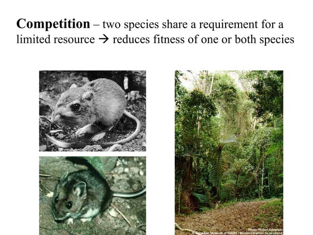 "Interactions of organisms in ecosystem" | PPT