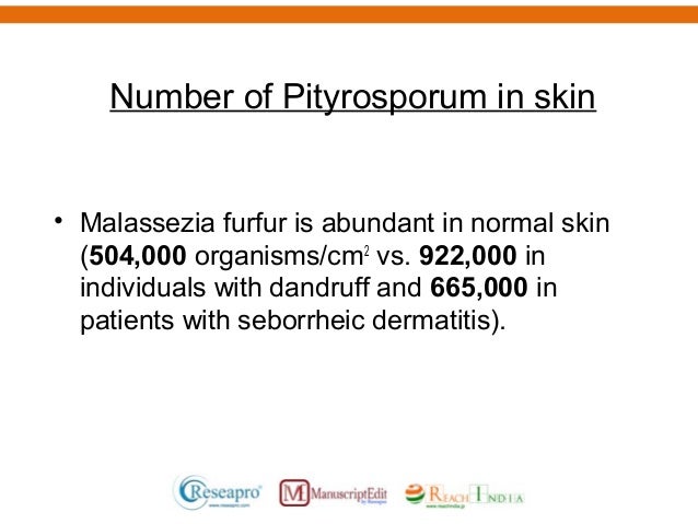 Infection Species Malassezia Part 1
