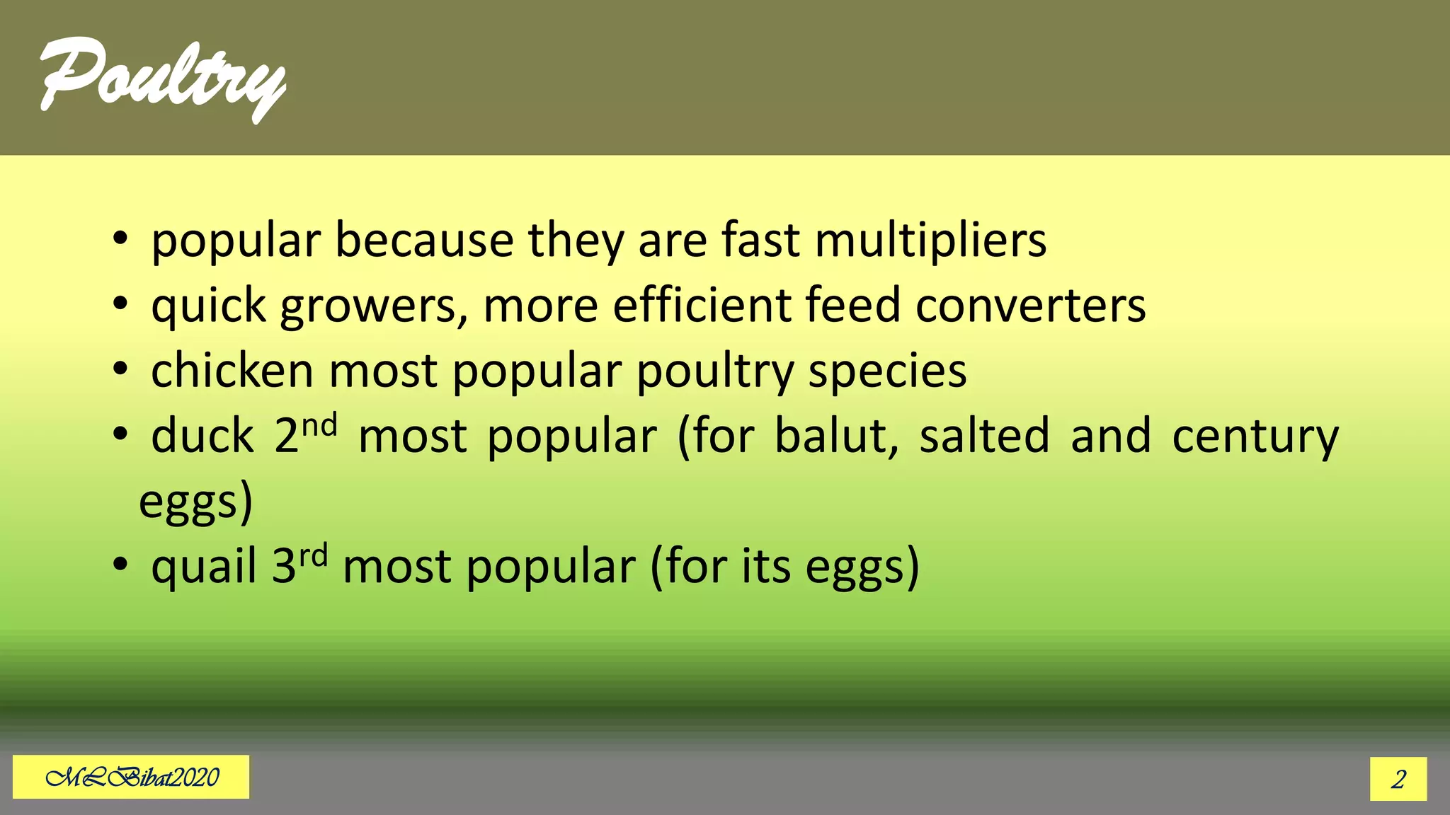 Species of POULTRY | PDF