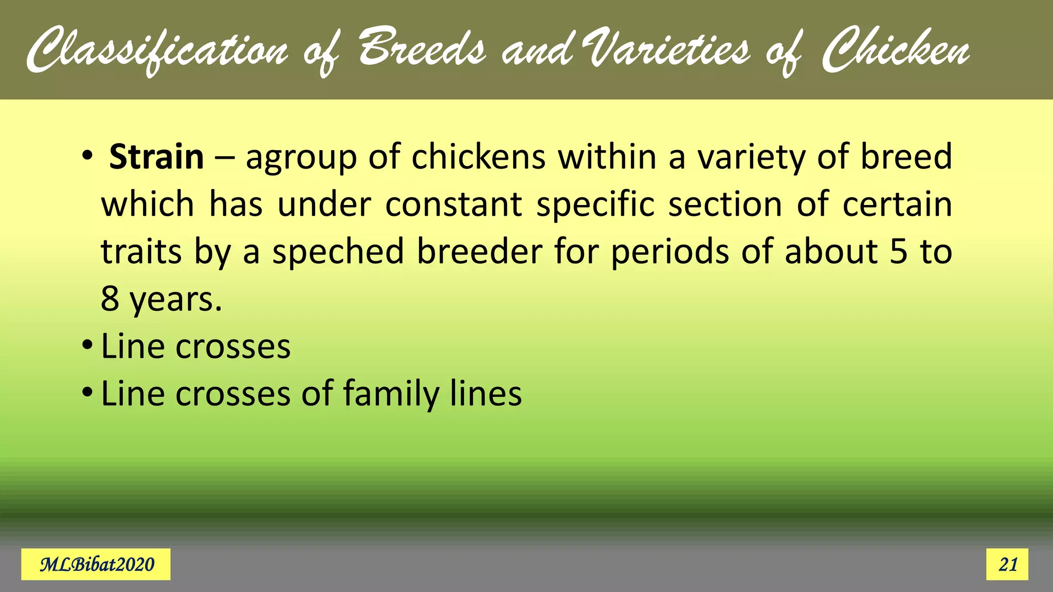 Species of POULTRY | PDF