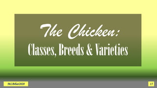 Species of POULTRY | PDF