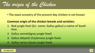 Species of POULTRY | PDF