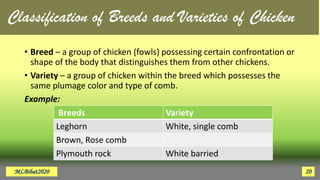 Species of POULTRY | PDF