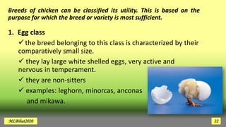 Species of POULTRY | PDF