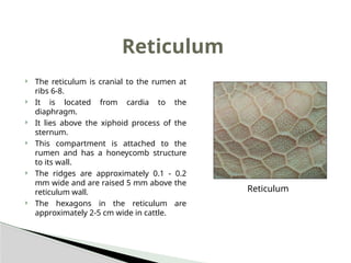 Specific-features-of-Gastrointestinal-tract-in-ruminants.pptx