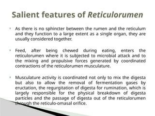Specific-features-of-Gastrointestinal-tract-in-ruminants.pptx