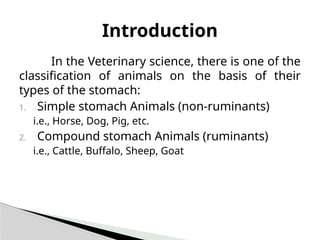 Specific-features-of-Gastrointestinal-tract-in-ruminants.pptx