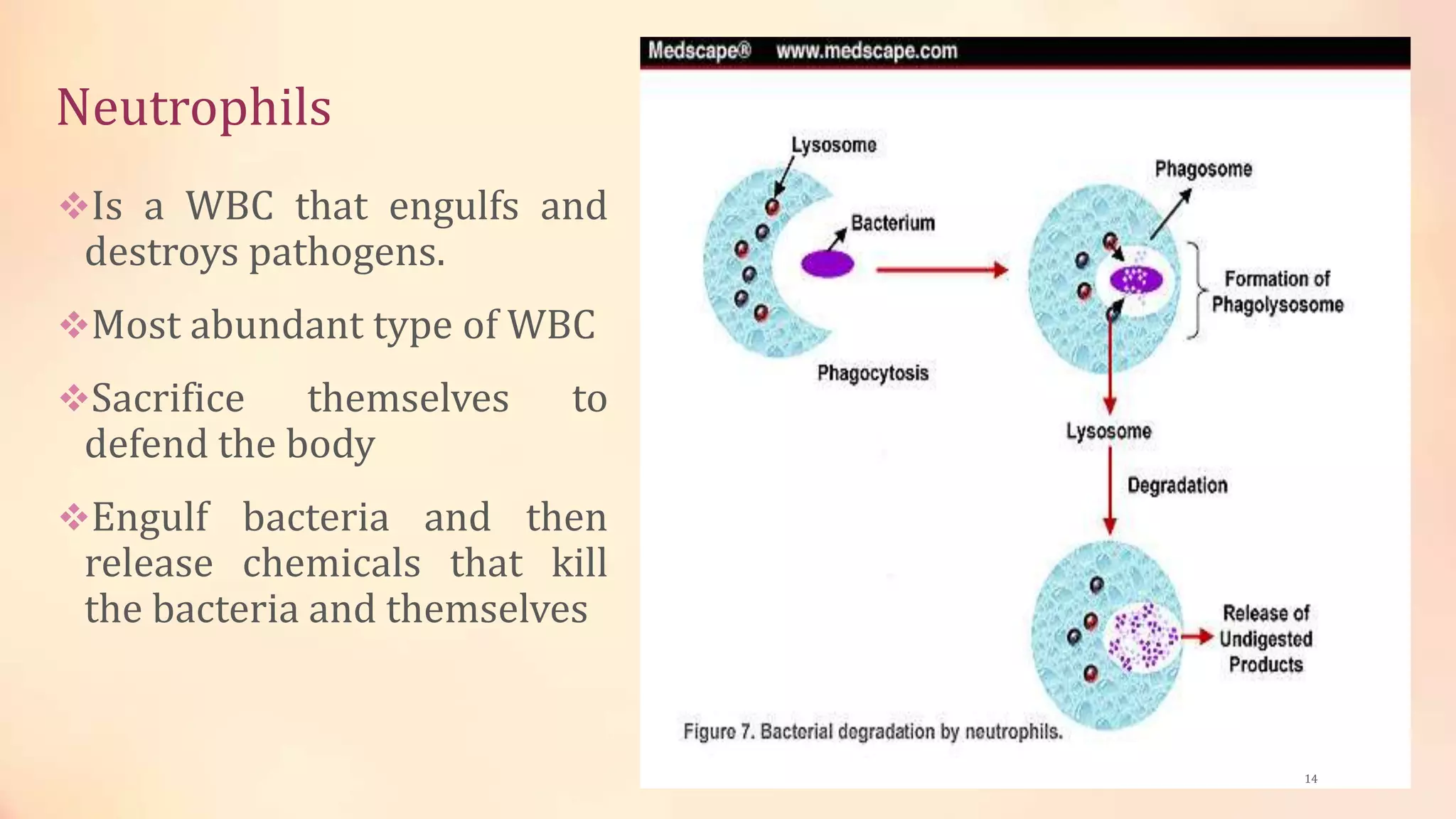Specific and non Specific immune responses | PPTX