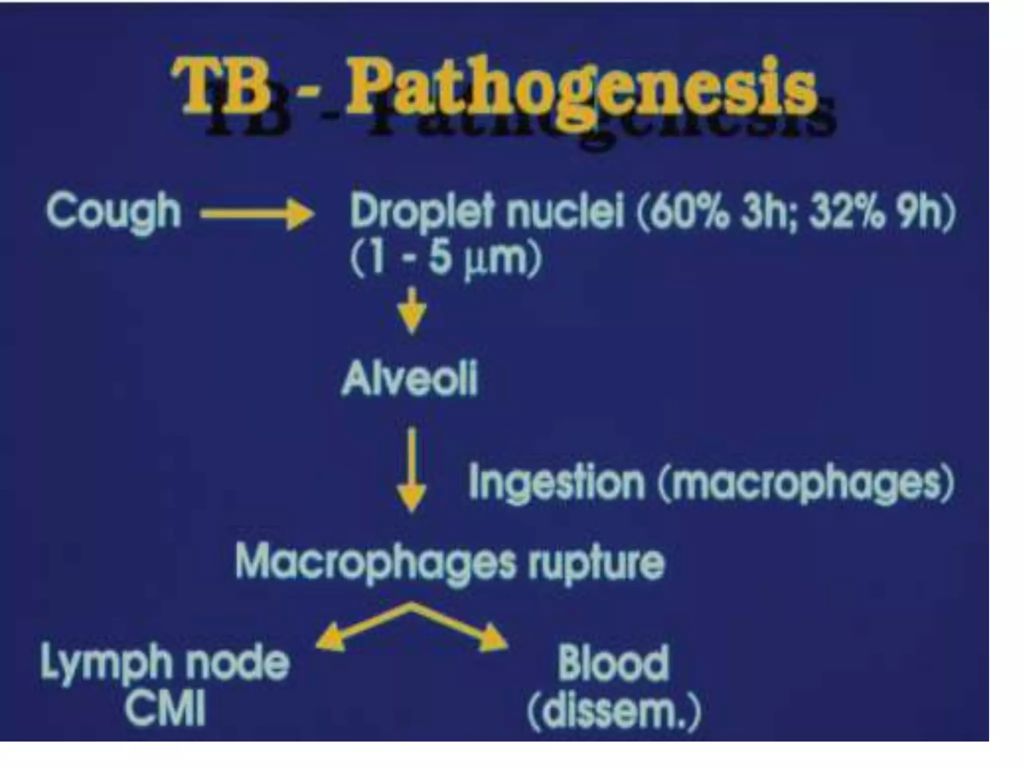 Specific Bacterial Infections Affecting Oral Cavity Pptx