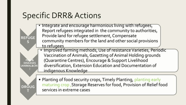 Specific disaster risk reduction actions | PPT