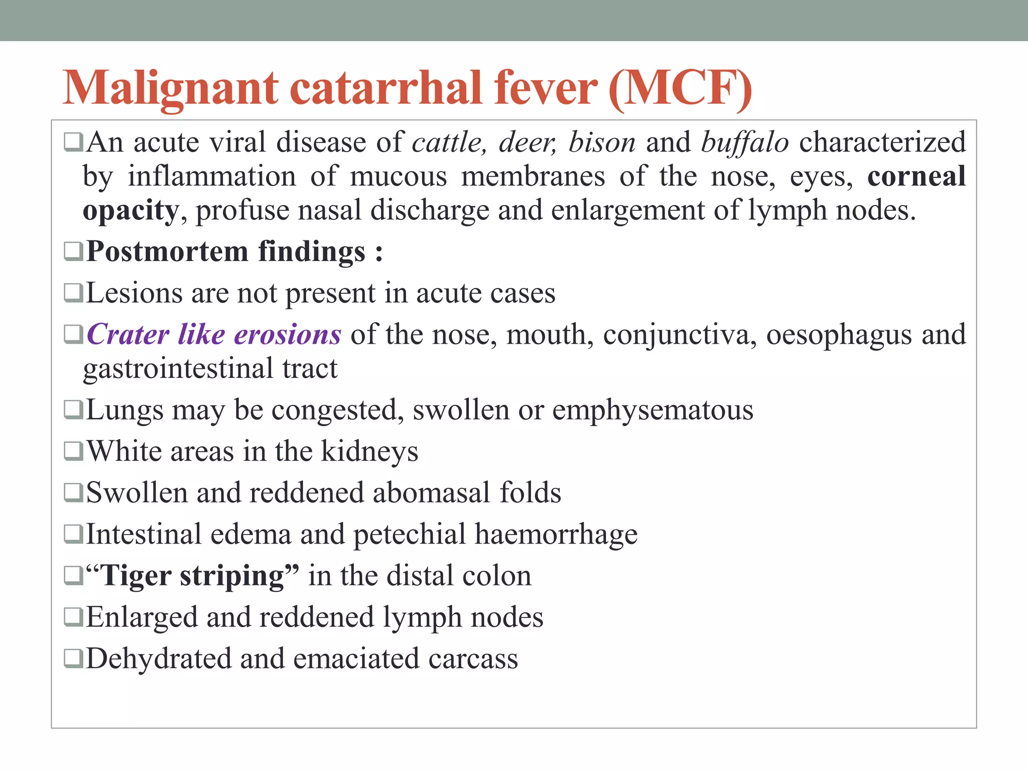 Specific diseases of cattle, buffalo & judgement of carcass | PPTX