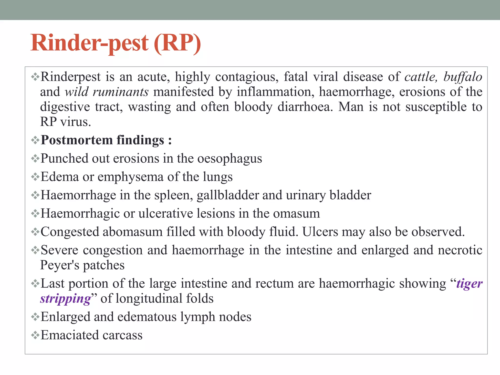 Specific diseases of cattle, buffalo & judgement of carcass | PPTX