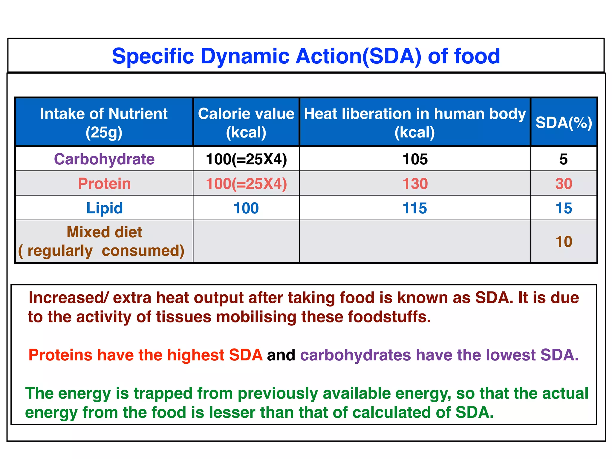 Specific dynamic action and nutrition | PDF