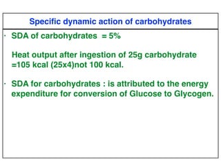 Specific dynamic action and nutrition | PDF
