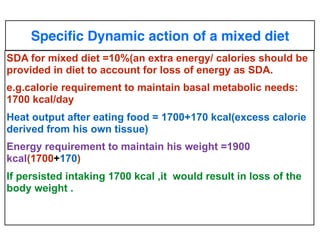 Specific dynamic action and nutrition | PDF