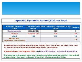 SDA, ENERGY REQUIREMENTS, ENERGY BALANCE.pptx