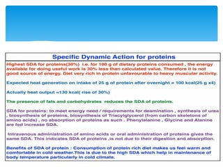 SDA, ENERGY REQUIREMENTS, ENERGY BALANCE.pptx