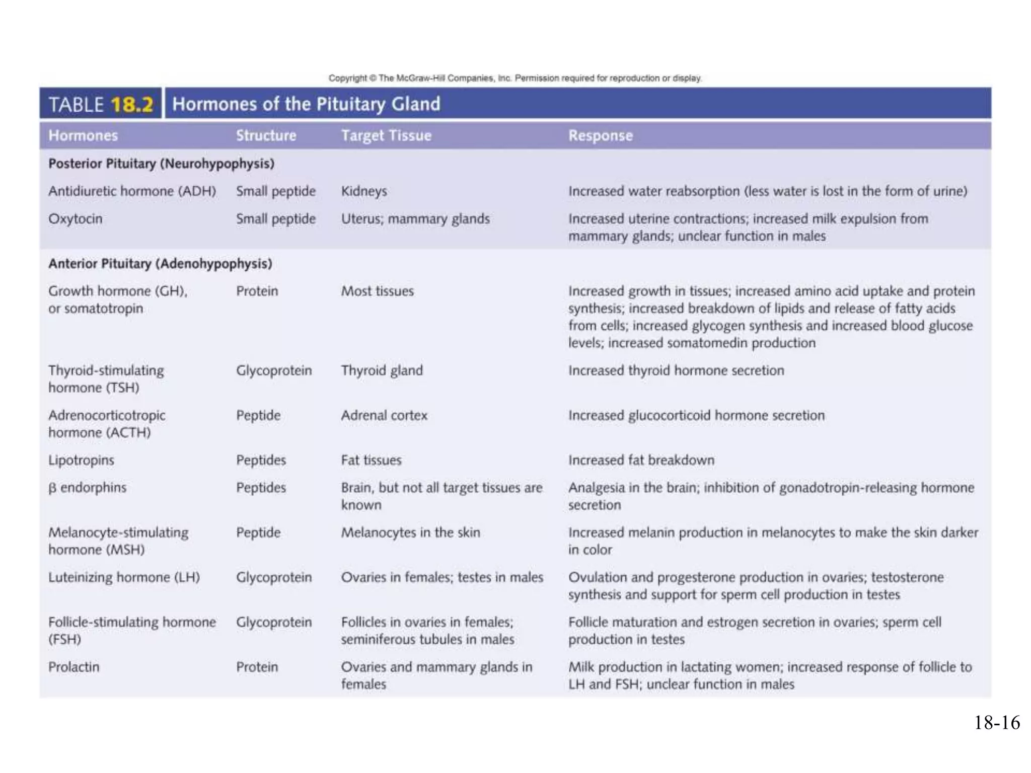 Specific Endocrine Glands.ppt