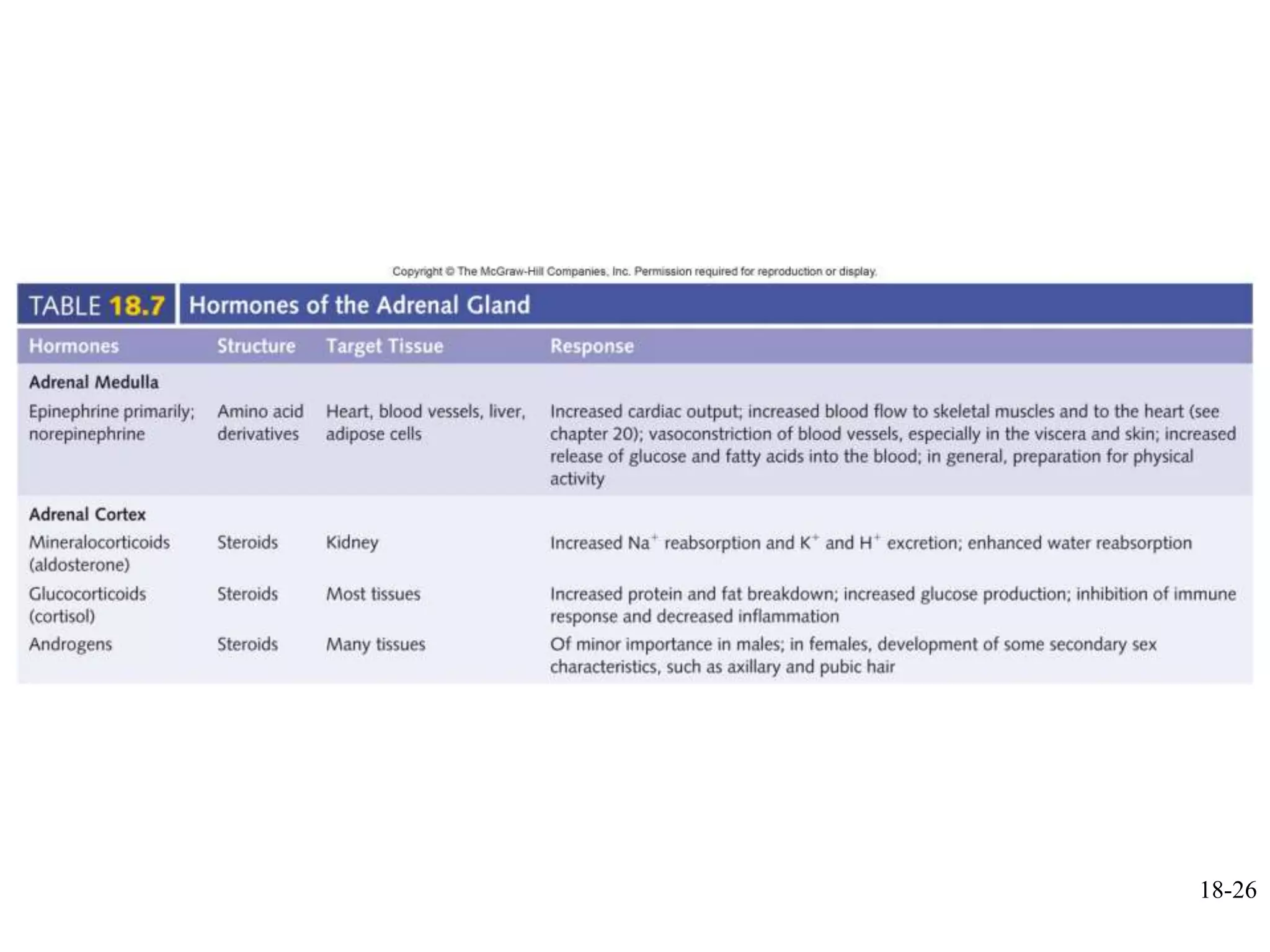 Specific Endocrine Glands.ppt