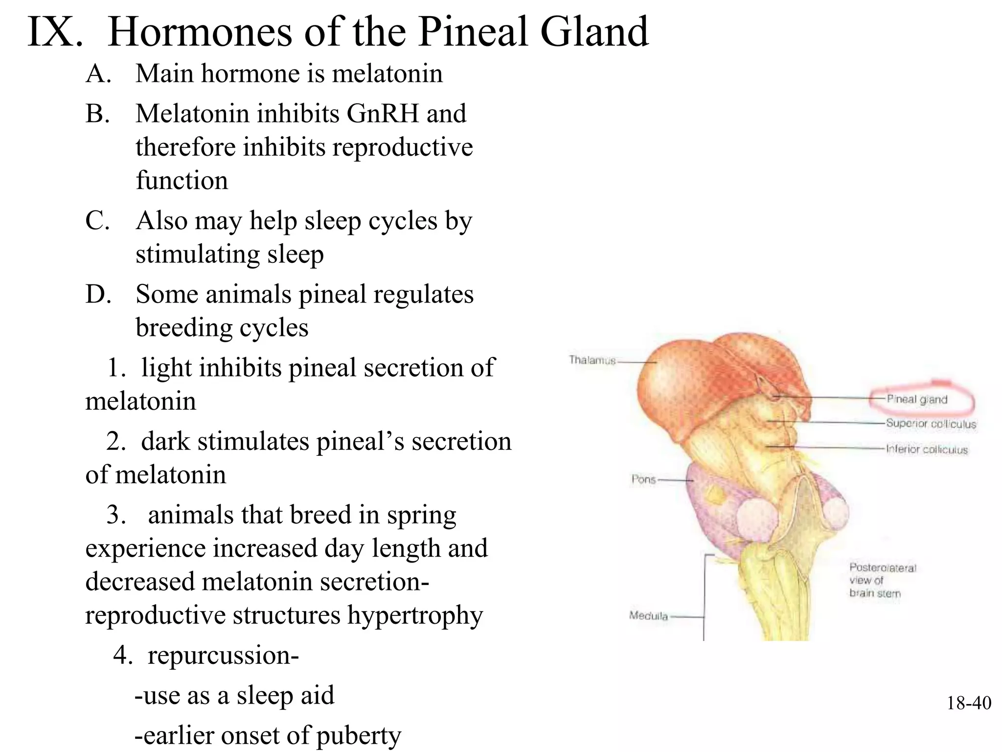 Specific Endocrine Glands.ppt