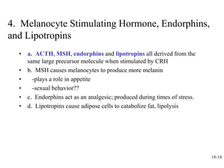 Specific Endocrine Glands.ppt