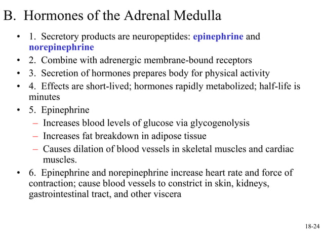 Specific Endocrine Glands.ppt
