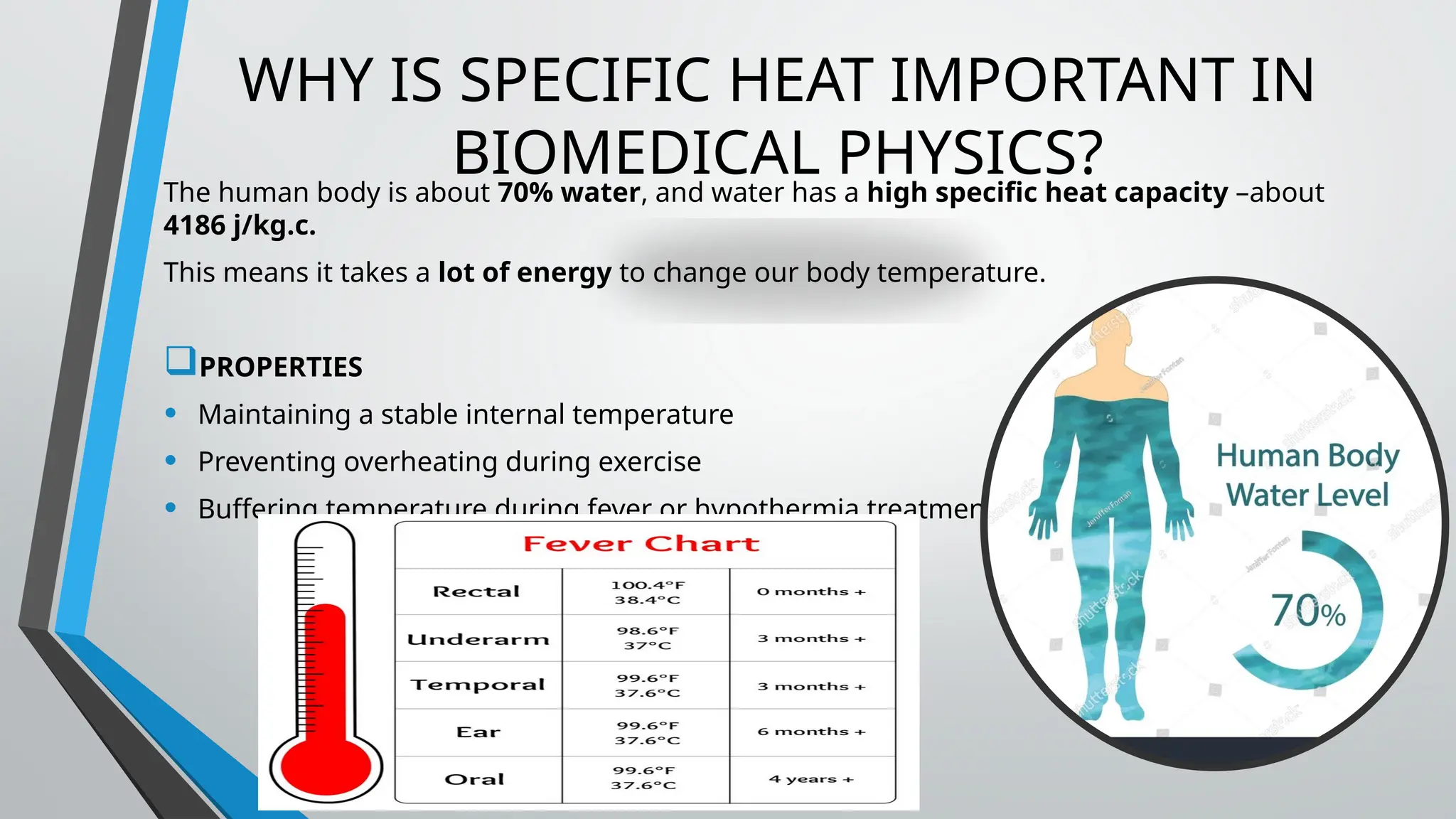 Understanding specific heat from biomedical physics in detail | PPTX