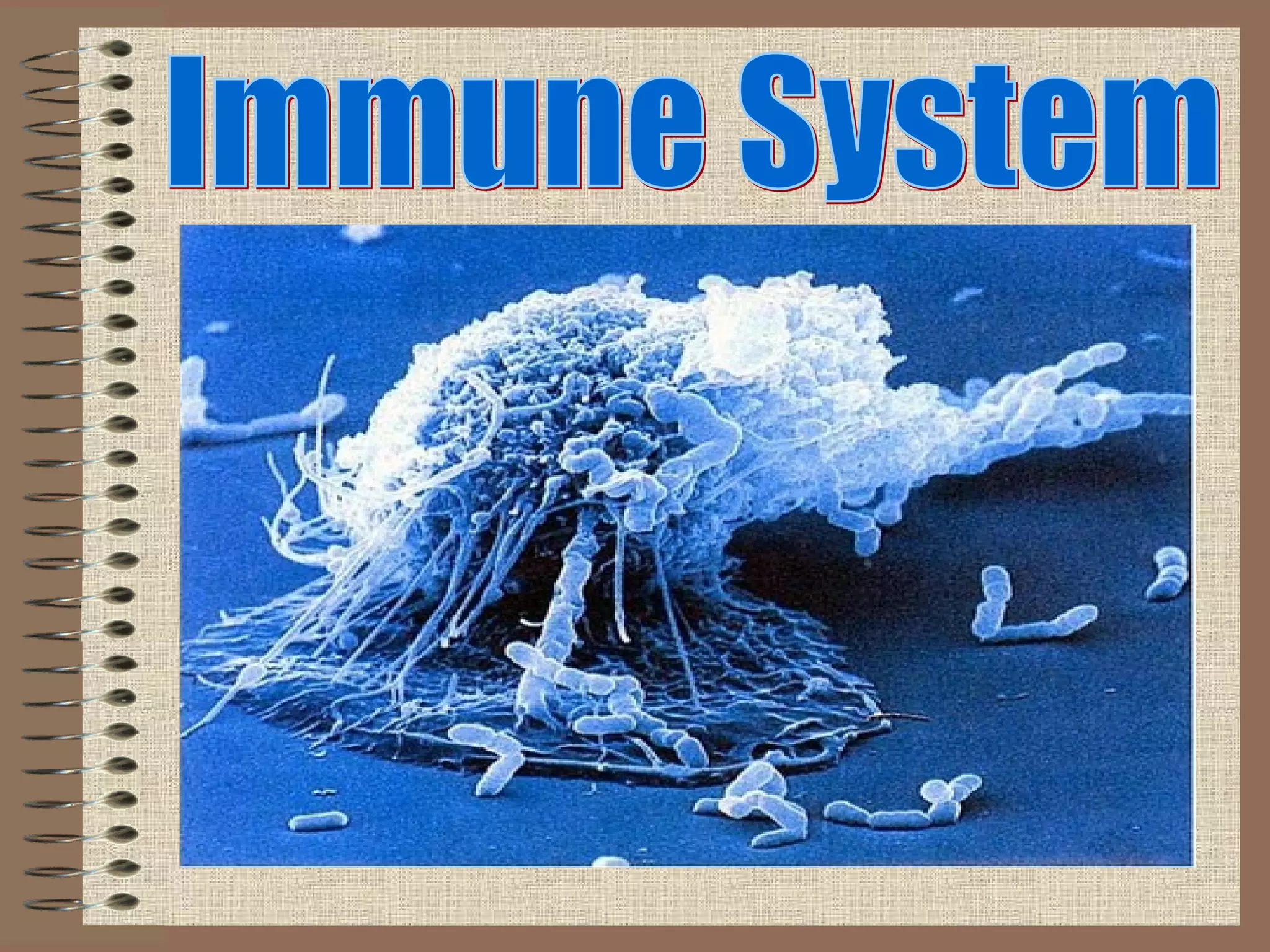 Specific immunity | PPT