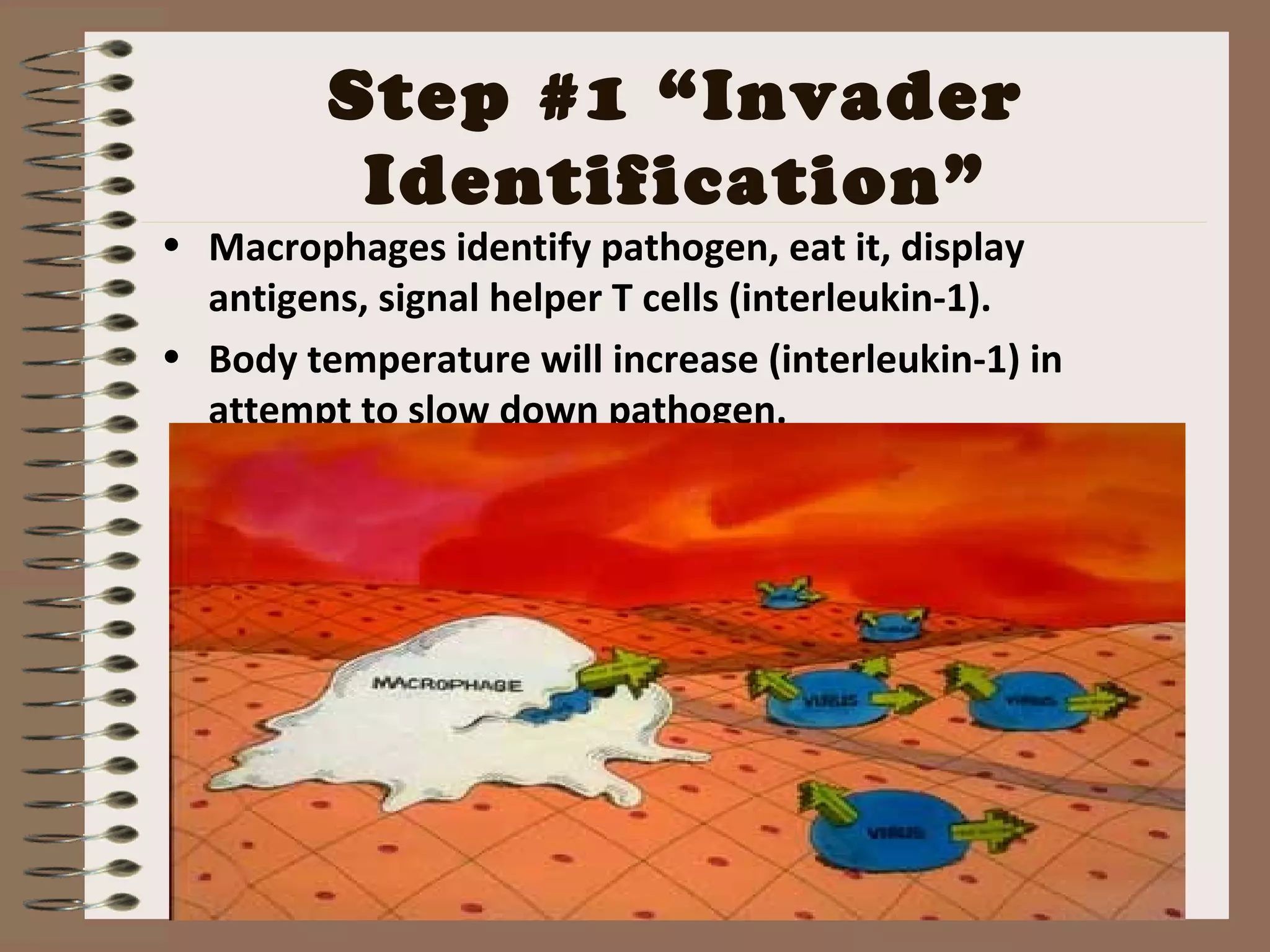 Specific immunity | PPT