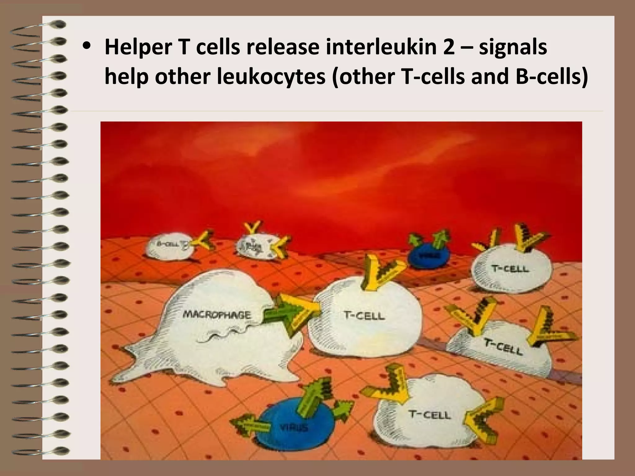 Specific immunity | PPT