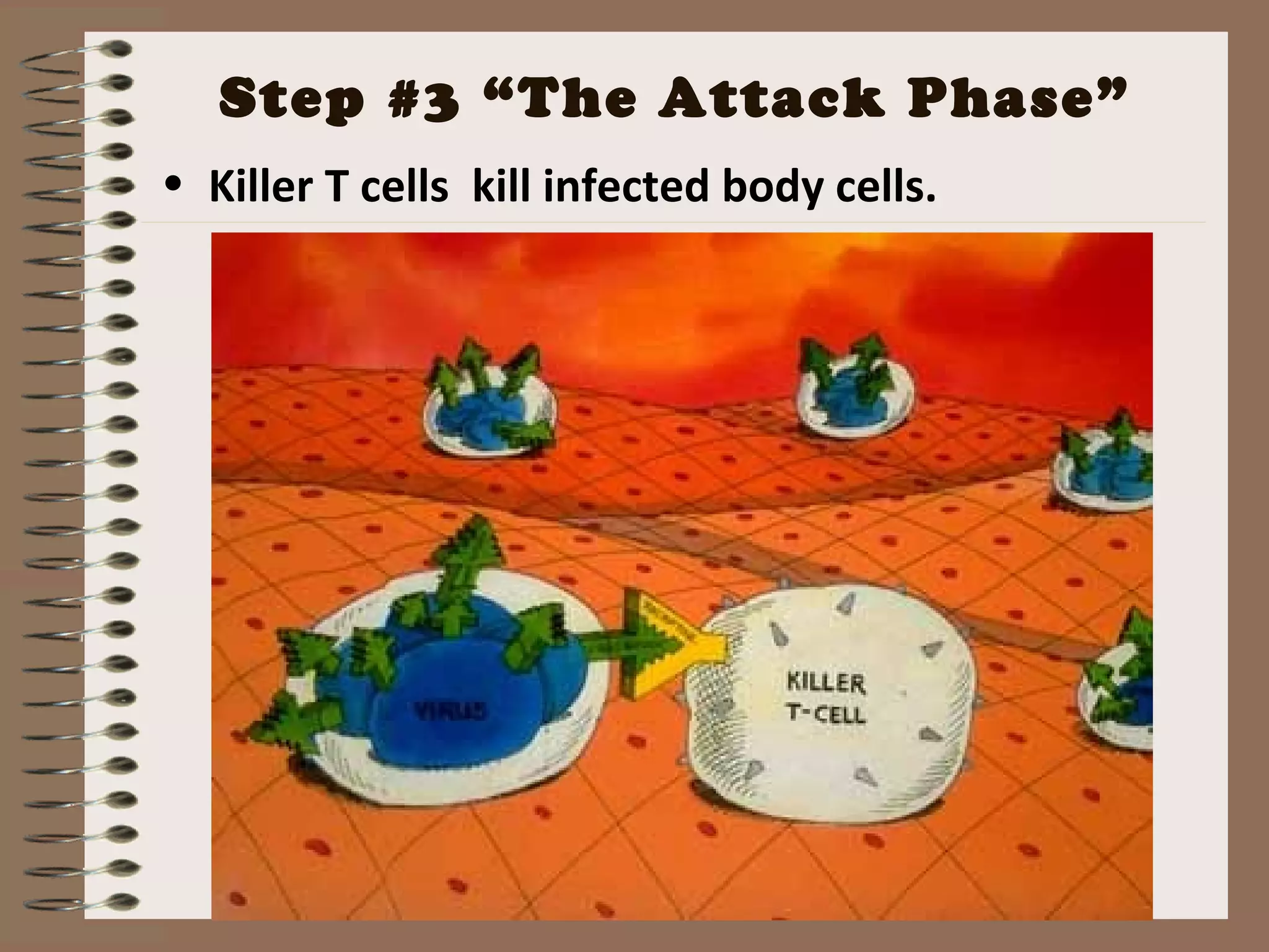 Specific immunity | PPT