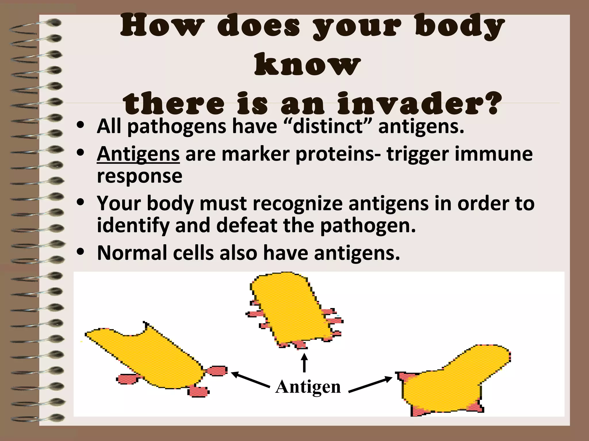 Specific immunity | PPT