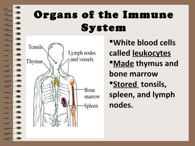 Specific immunity | PPT