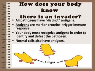 Specific immunity | PPT