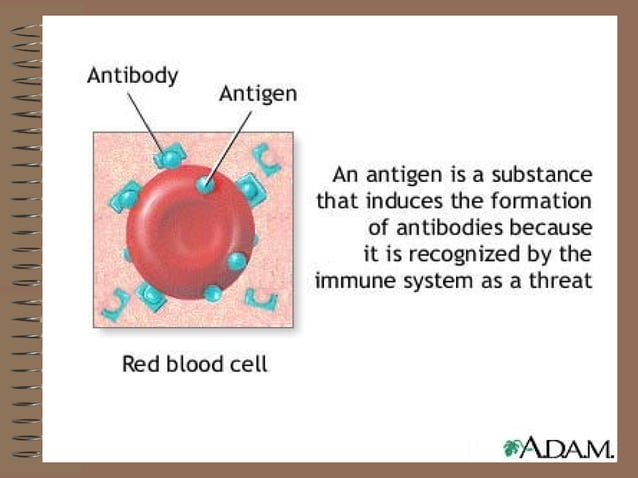 Specific immunity | PPT