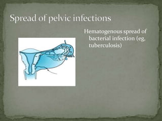 Specific inflammatory diseases of female reproductive system | PPTX