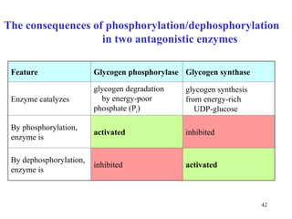Specificity of enzymesThis specificity is categorized into four main ...