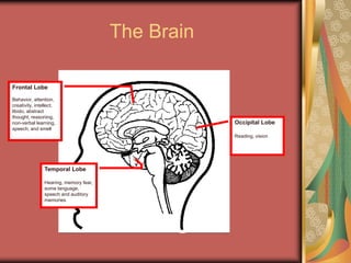 Specific learning disabilities | PDF