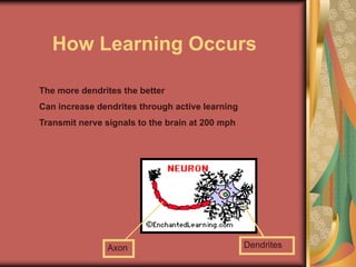 Specific learning disabilities | PDF