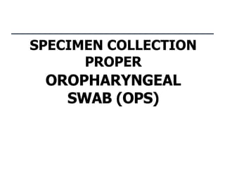 oropharnegeal specimen-collection-slides | PDF