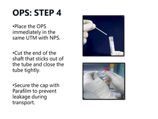 oropharnegeal specimen-collection-slides | PDF